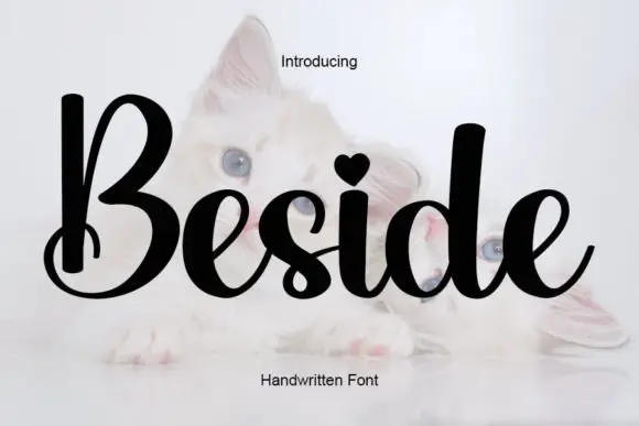 Beside Font – Elegant Handwritten Script for Timeless Designs - Font Canyon
