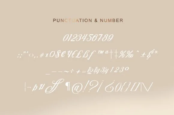 Lusail Font – Elegant & Playful Script for Creative Designs - Font Canyon