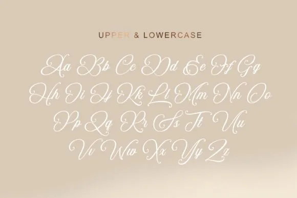 Lusail Font – Elegant & Playful Script for Creative Designs - Font Canyon