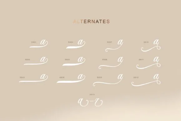 Lusail Font – Elegant & Playful Script for Creative Designs - Font Canyon